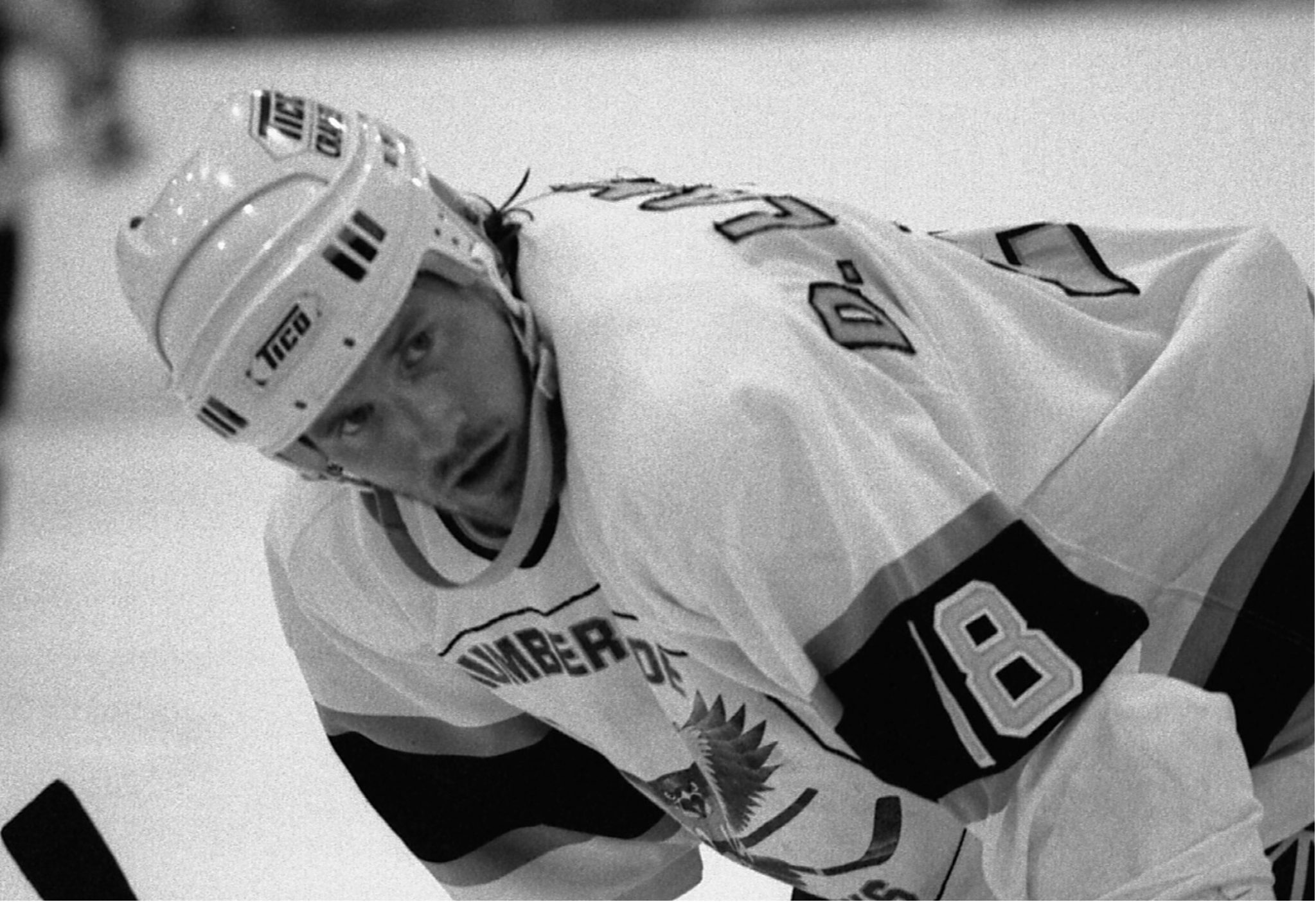 Club History - Hull Seahawks