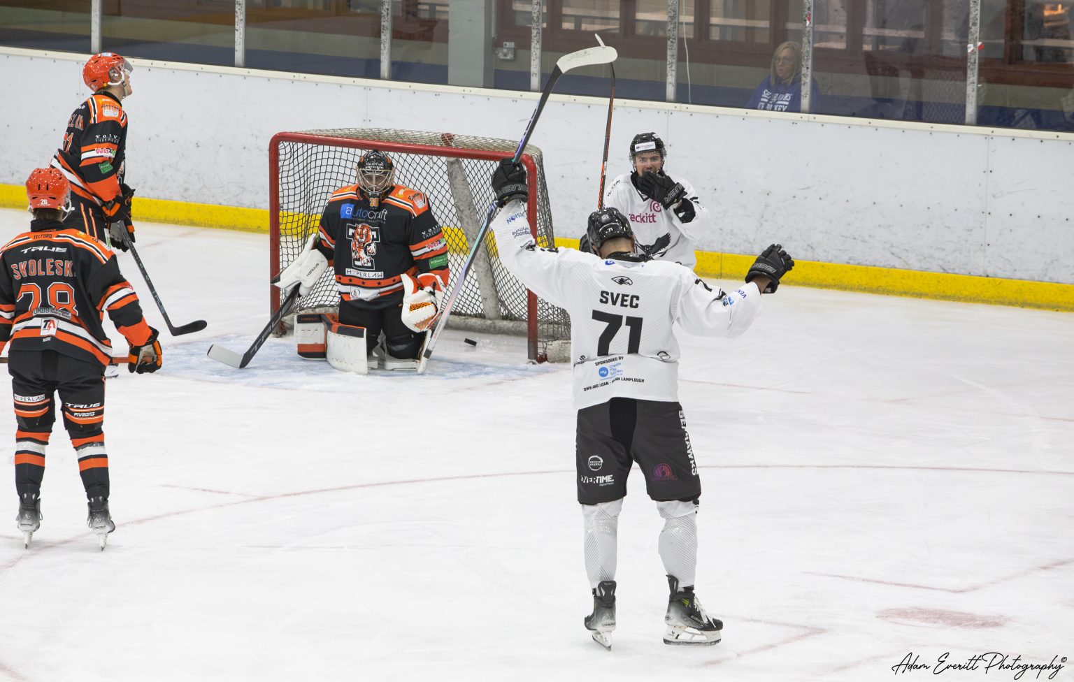 all news - Hull Seahawks