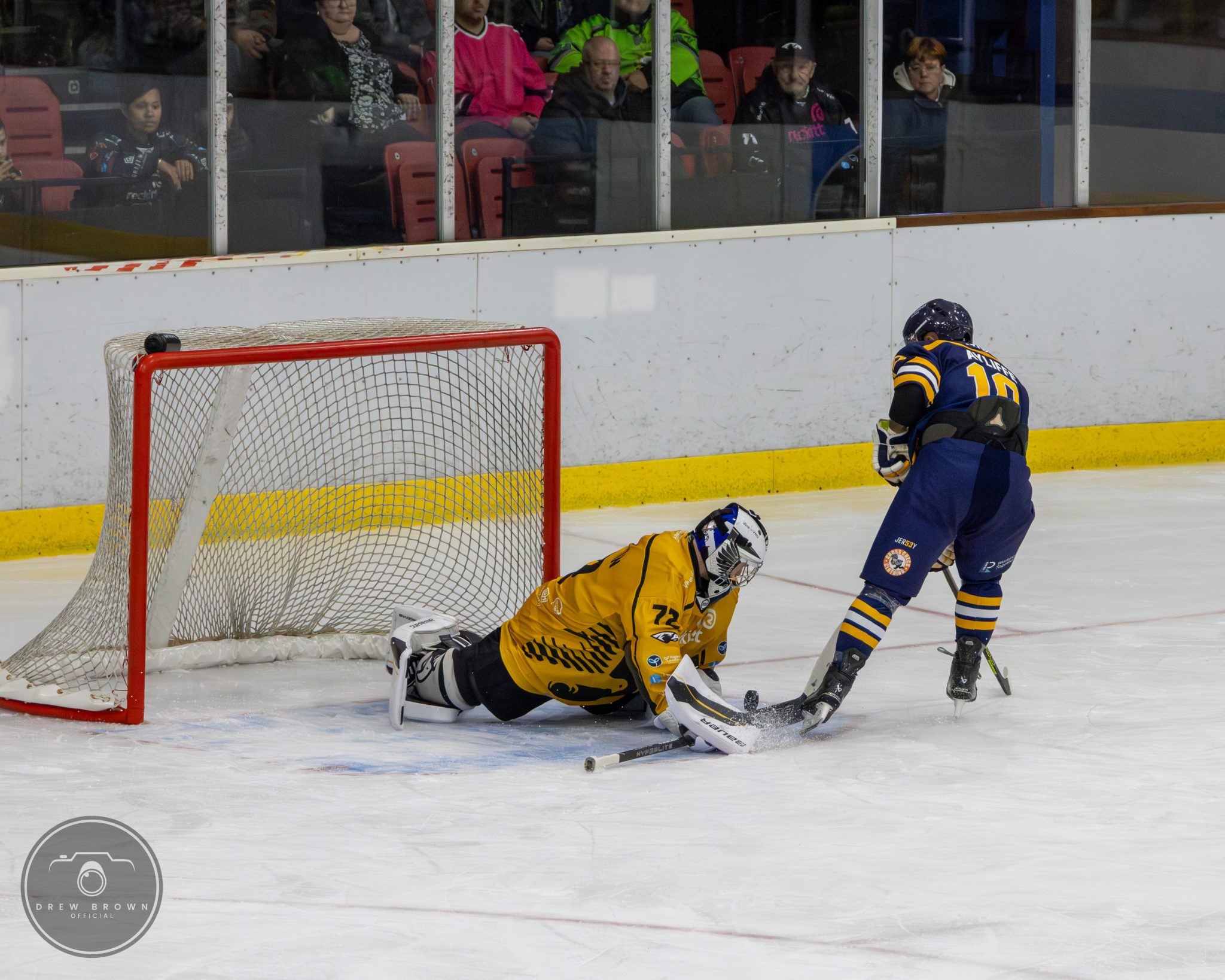 all news - Hull Seahawks