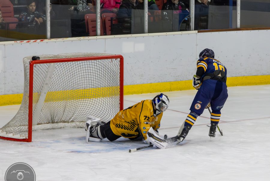 2024/25 NIHL National Fixtures Confirmed - Hull Seahawks
